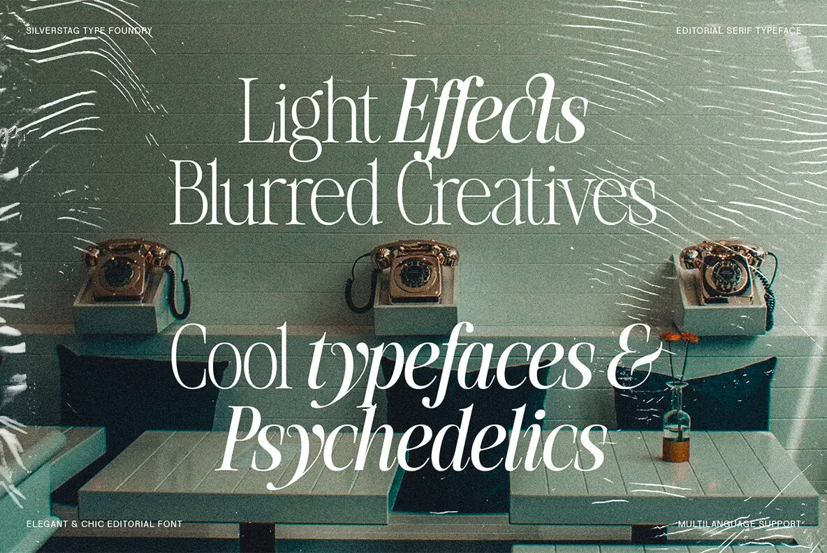 SLTF The Silver Editorial Font - YouWorkForThem