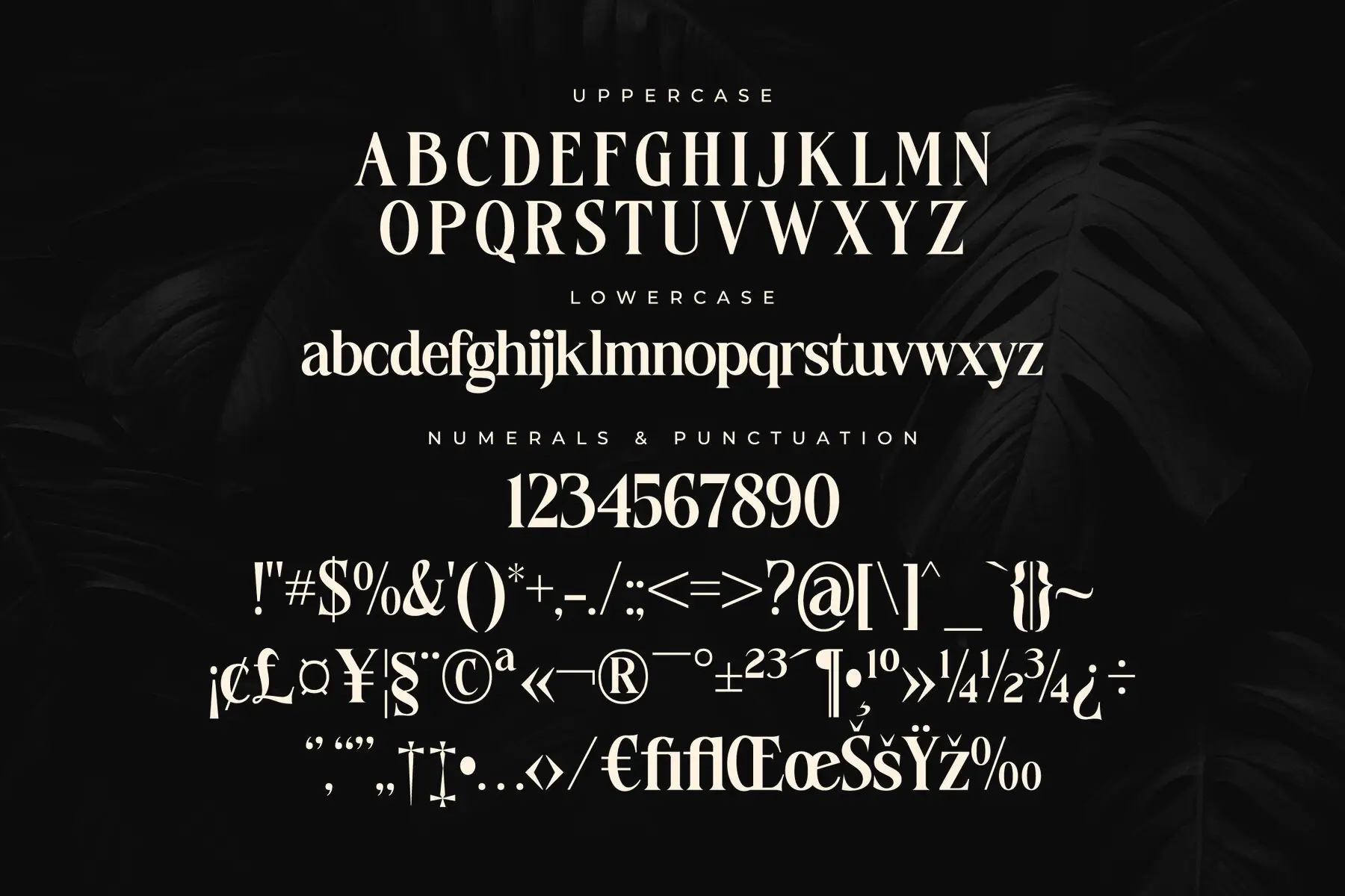 FANTASY MAGIST Font - YouWorkForThem