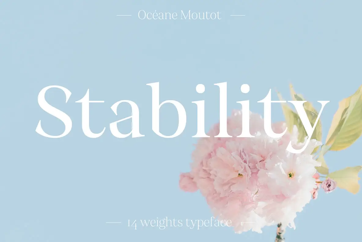 Stability Font - YouWorkForThem