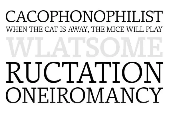 Tow Font - YouWorkForThem