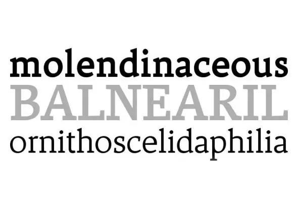 Tow Font - YouWorkForThem