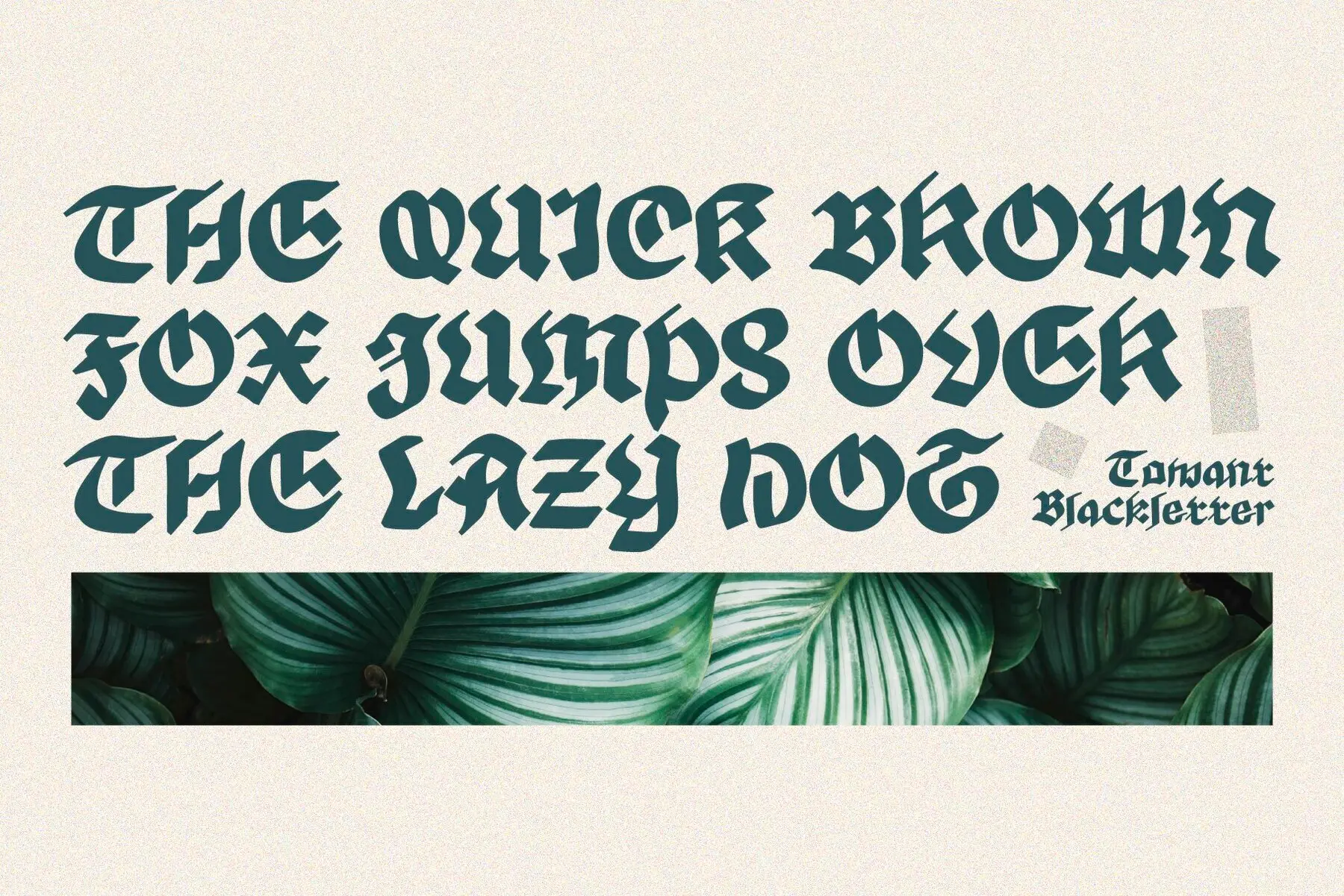 Tomant Font - YouWorkForThem