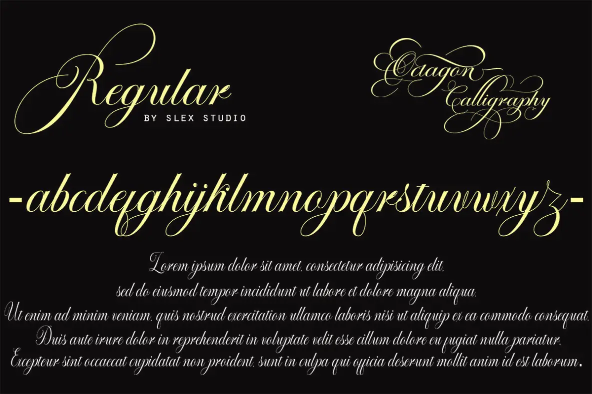 Octagon Calligraphy Font - FontPath