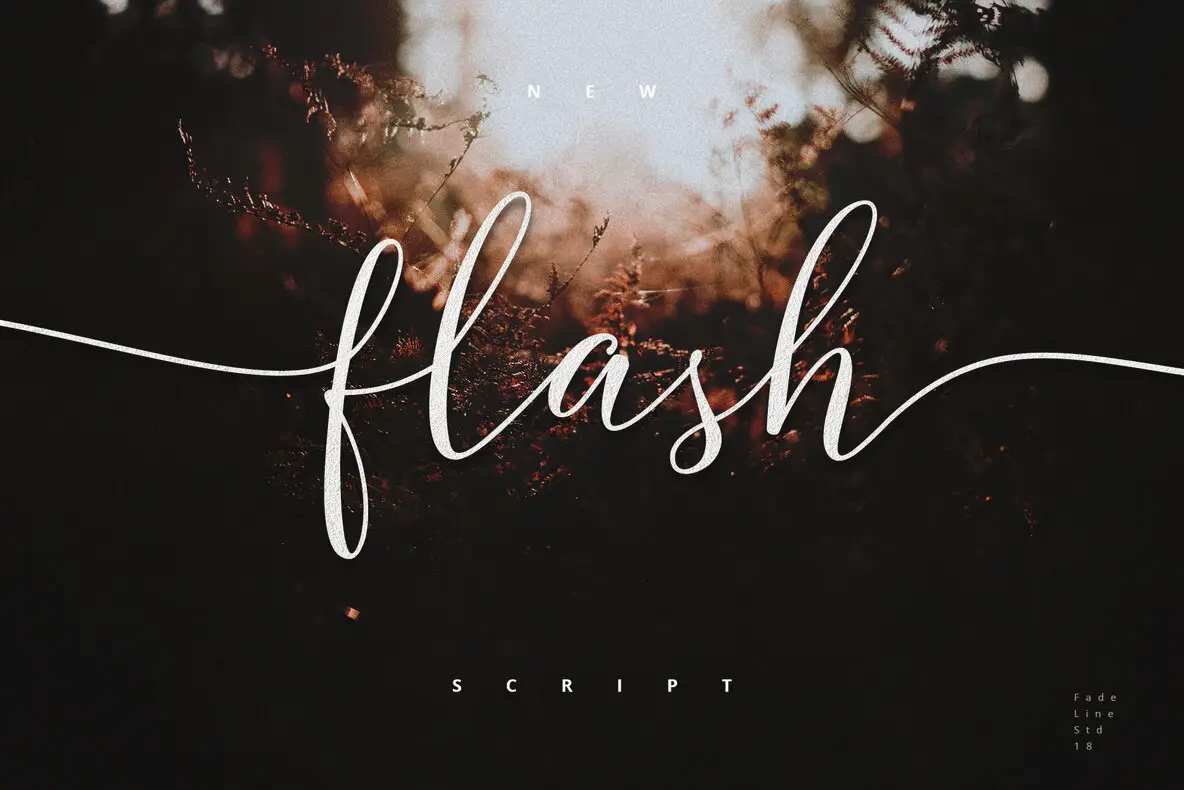 Flash Script Font - YouWorkForThem