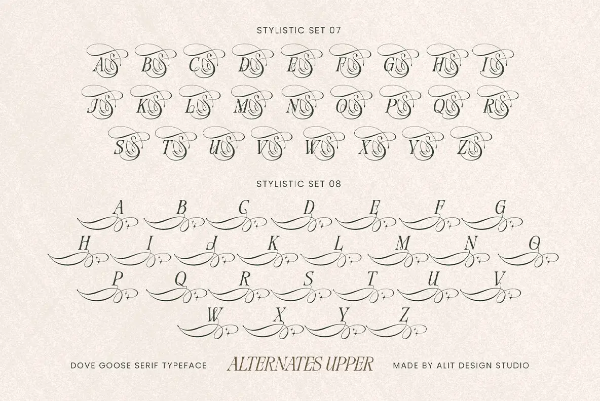 Dove and Goose Font - YouWorkForThem