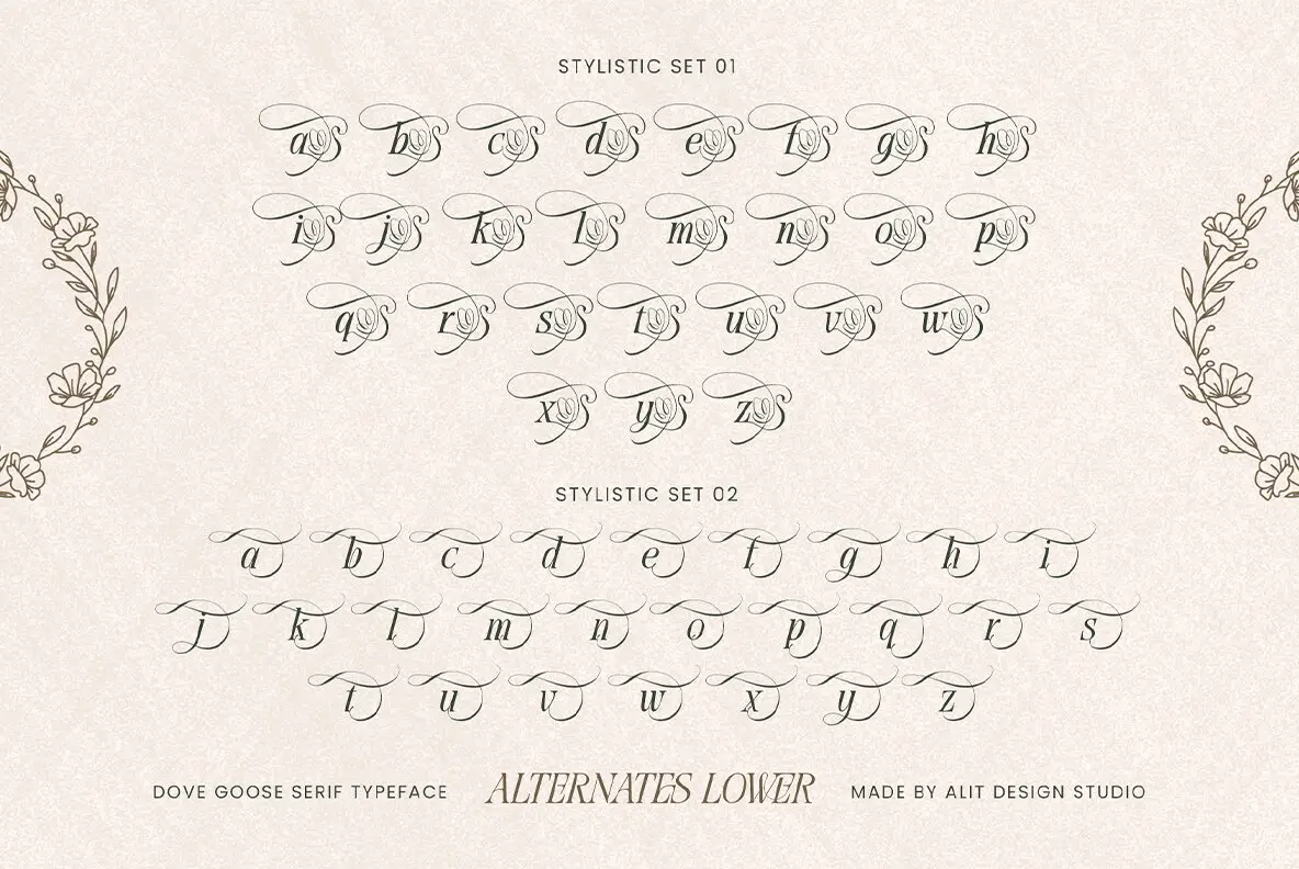 Dove and Goose Font - YouWorkForThem
