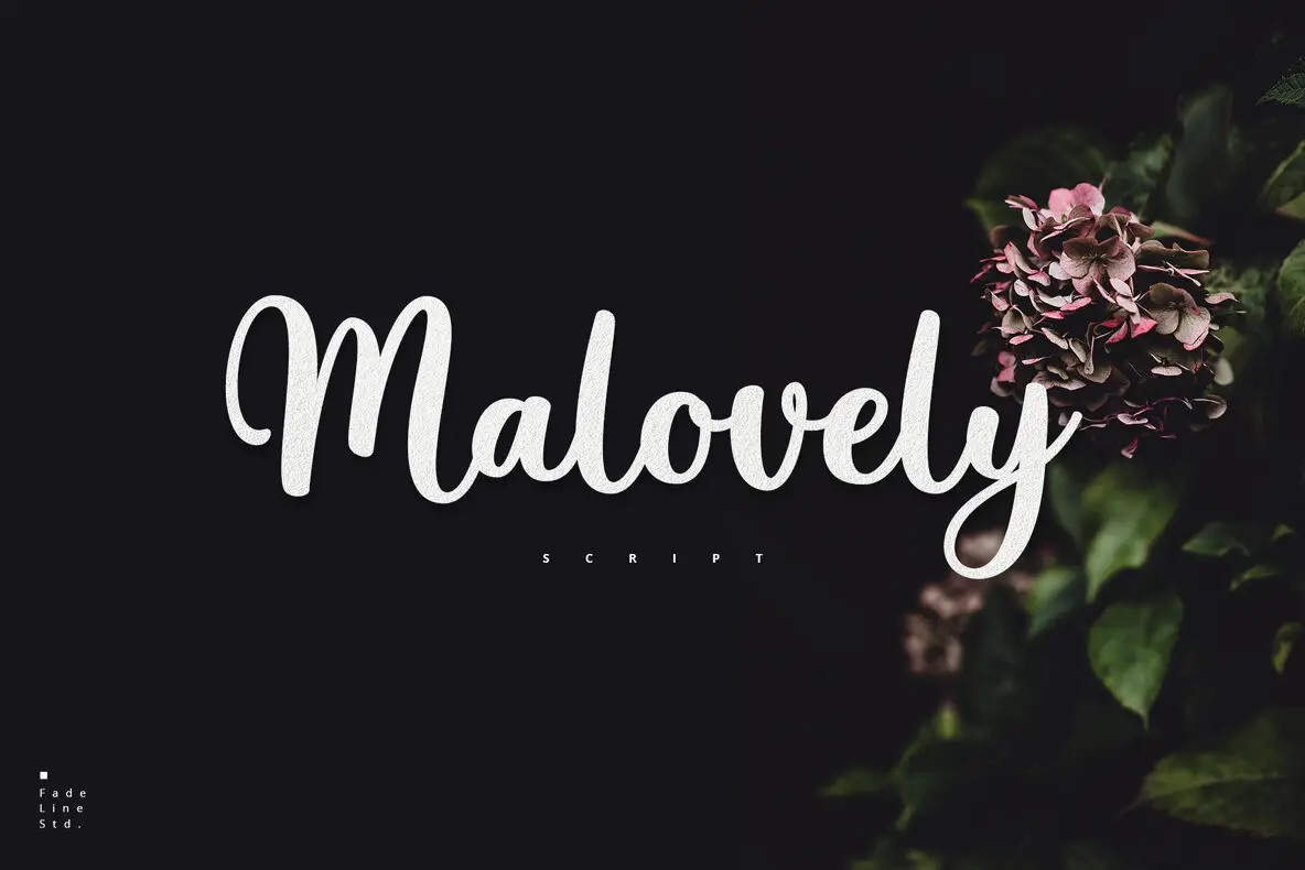 Malovely Script Font - YouWorkForThem