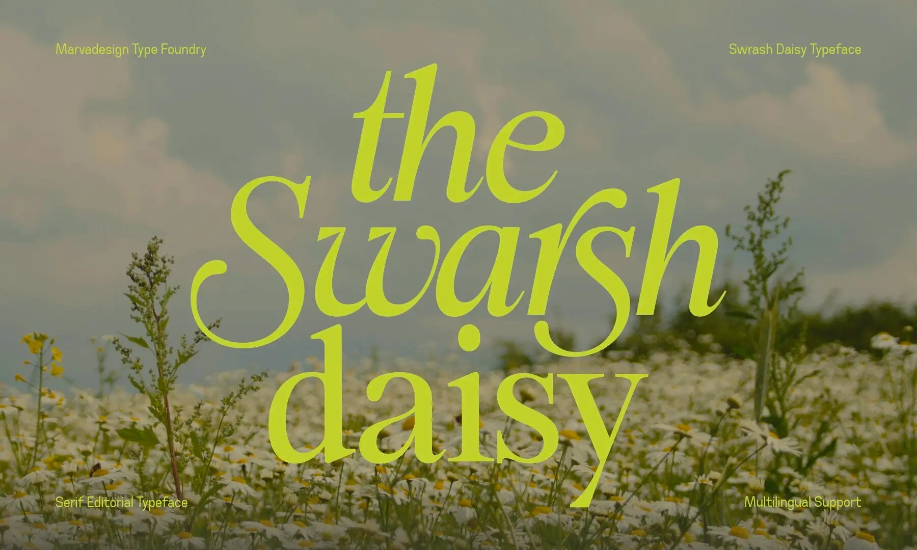 Swarsh Daisy Font - YouWorkForThem