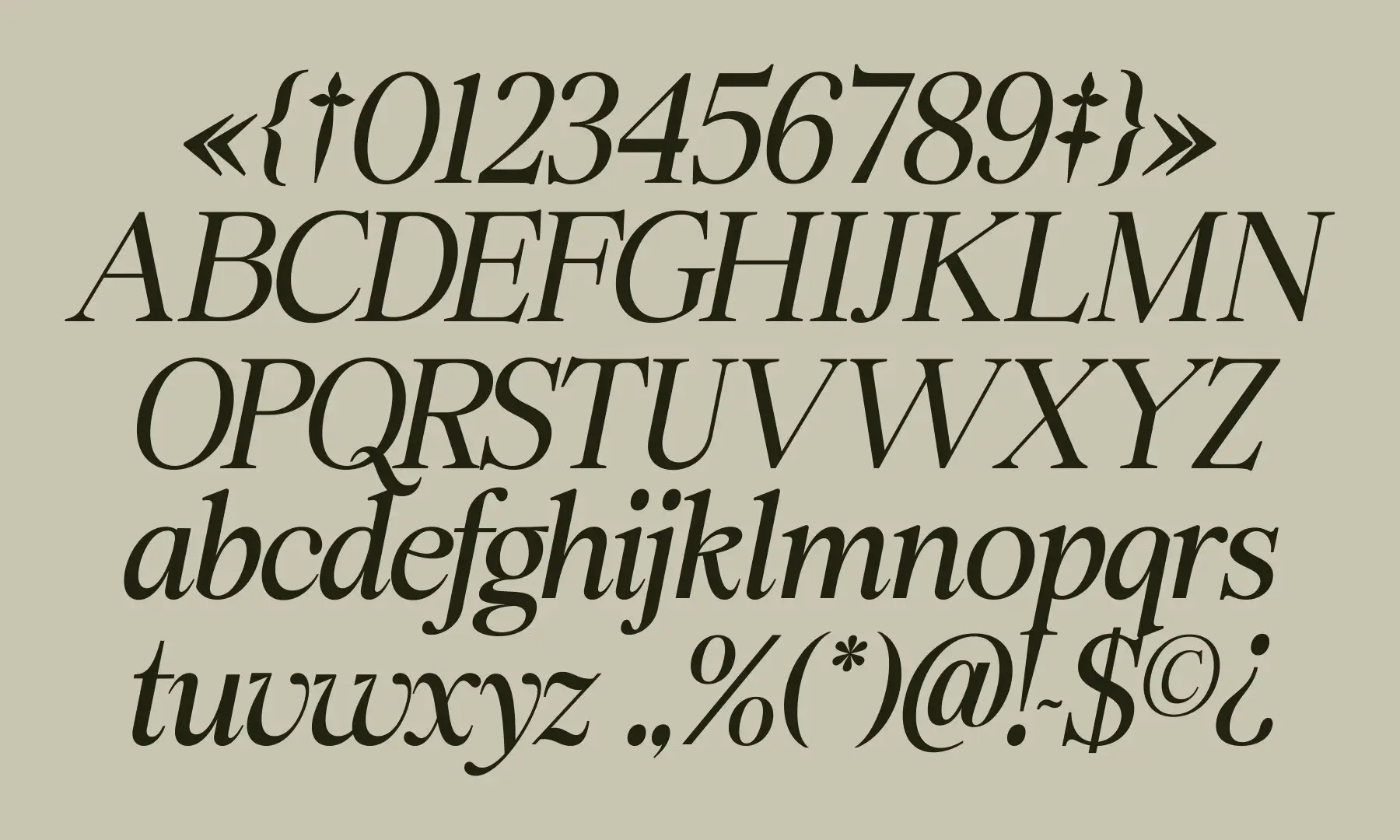 Swarsh Daisy Font - YouWorkForThem