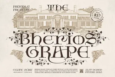 Handpicked Curated Fonts for Discerning Designers - YouWorkForThem