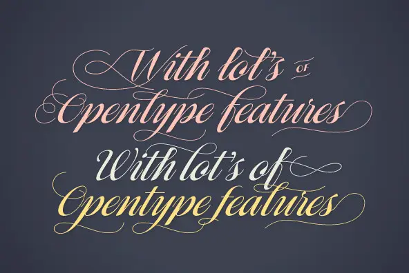 Ragazza Script Font - YouWorkForThem