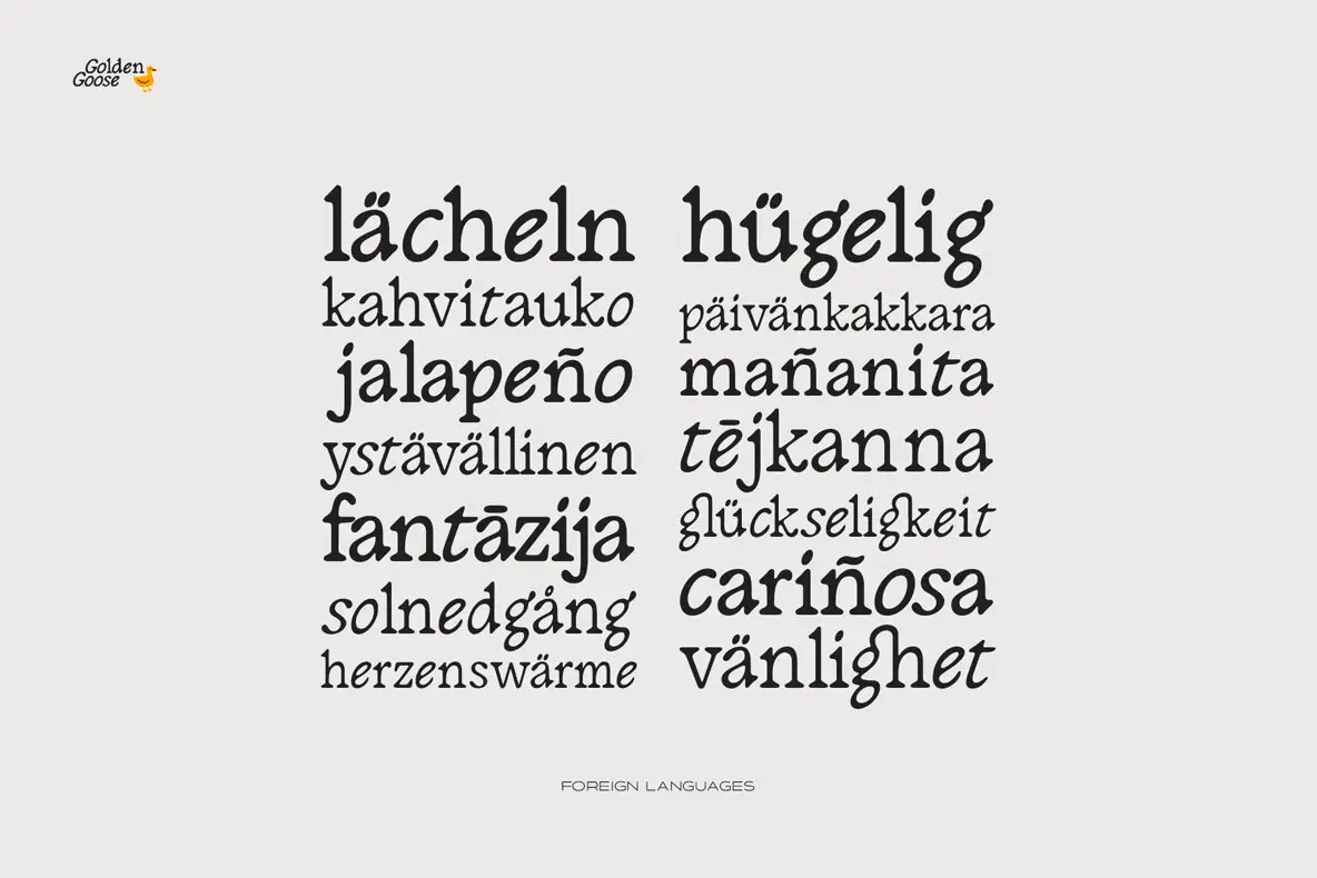 Golden Goose Font - YouWorkForThem