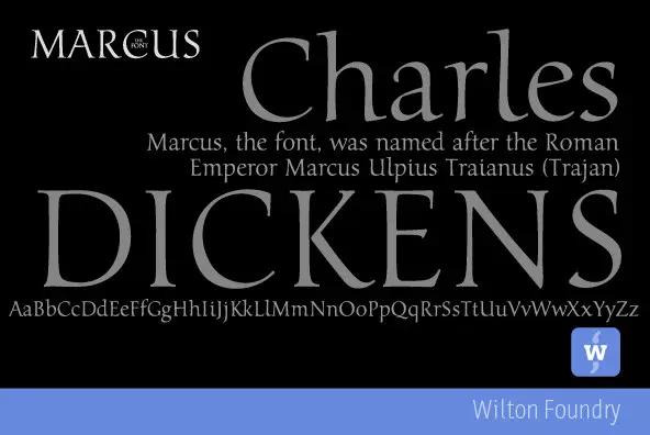 Marcus Font - YouWorkForThem