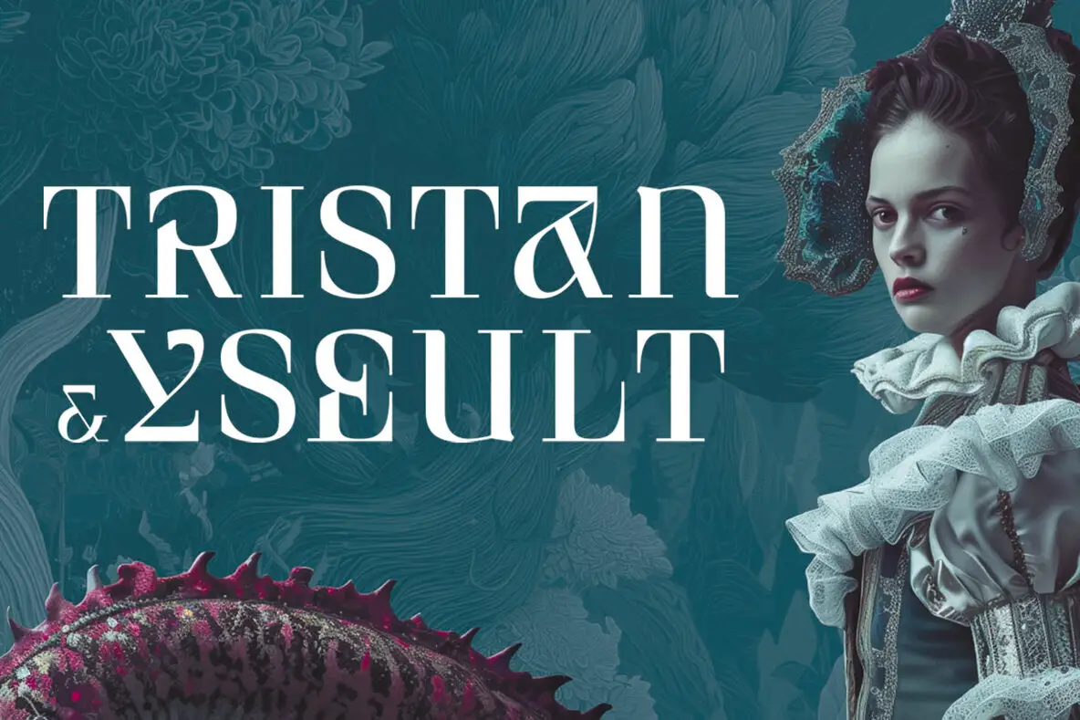 Curve Display Font - FontPath