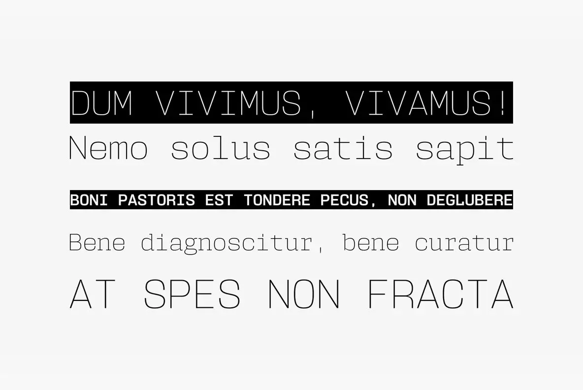 User Font - YouWorkForThem