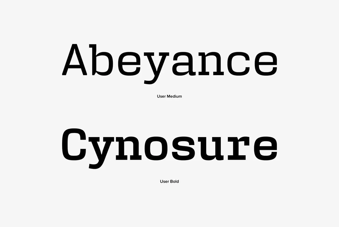 User Font - YouWorkForThem