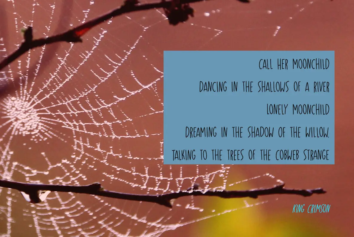 Cobweb Afternoon Font - YouWorkForThem