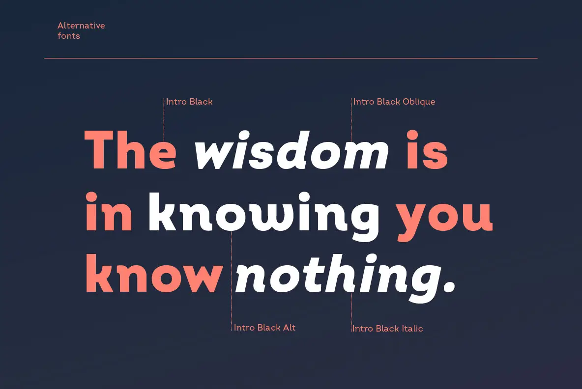 Intro Font - YouWorkForThem