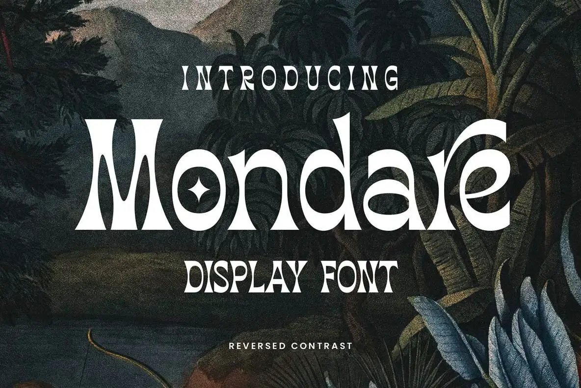 Mondare Font - YouWorkForThem