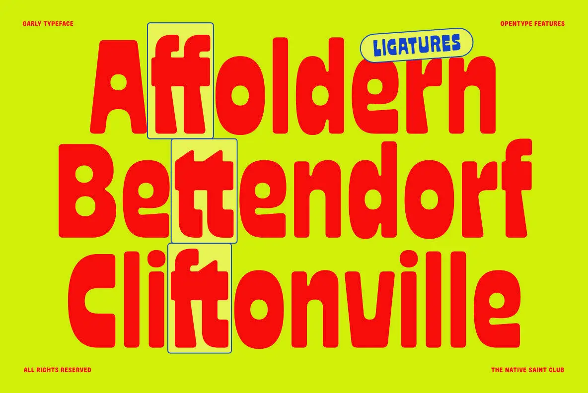 TNSC Garly Font - FontPath