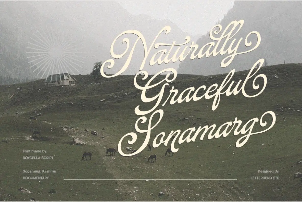 The Roycella Font - FontPath