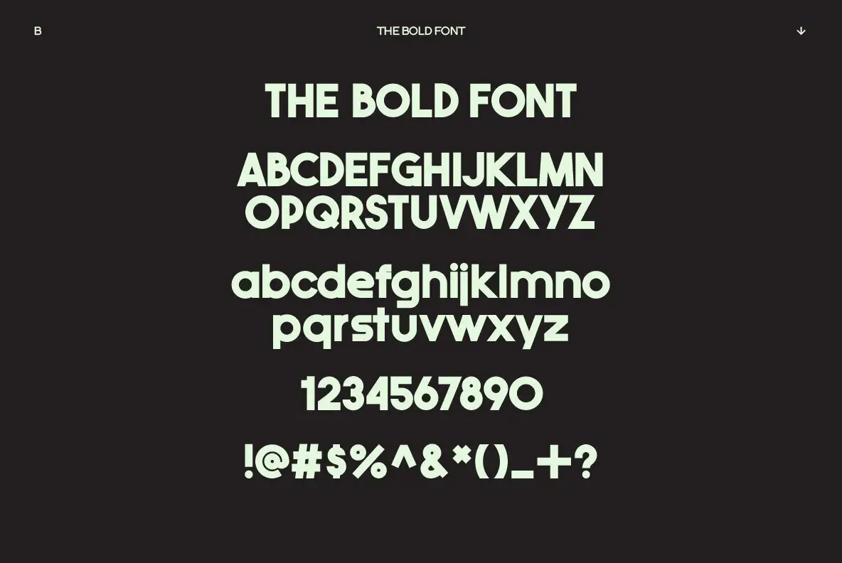 THE BOLD Font - YouWorkForThem