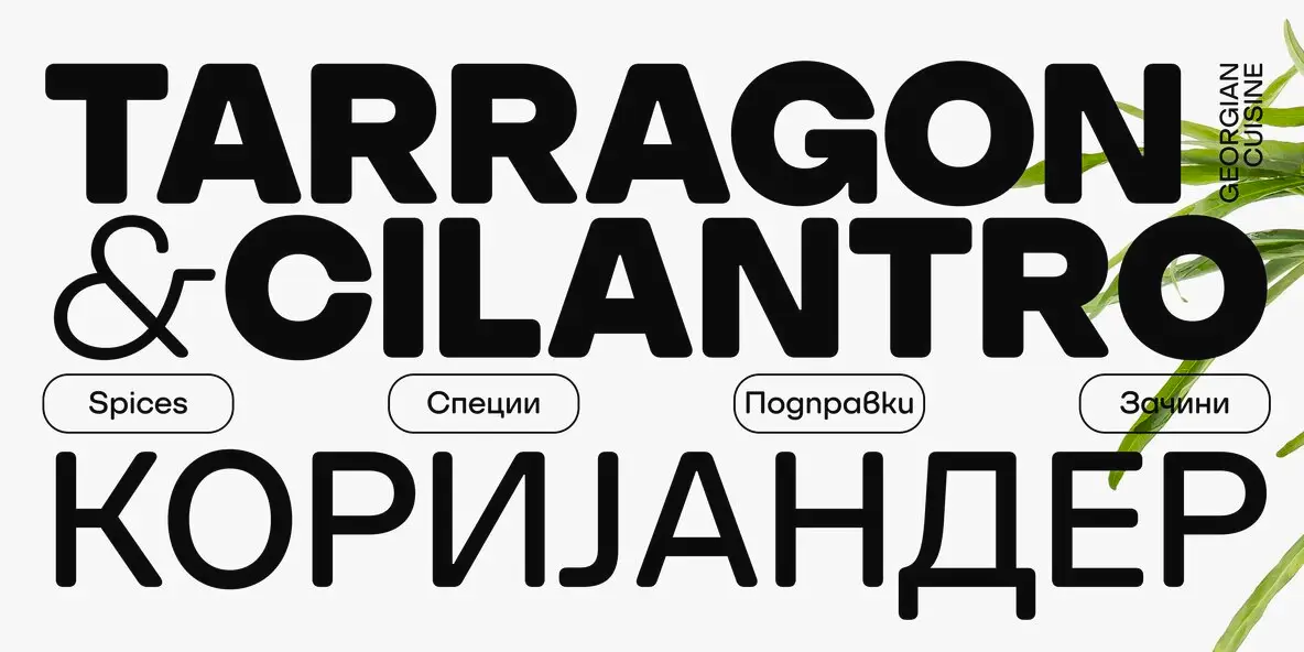 SFT Schrifted Round Font - FontPath