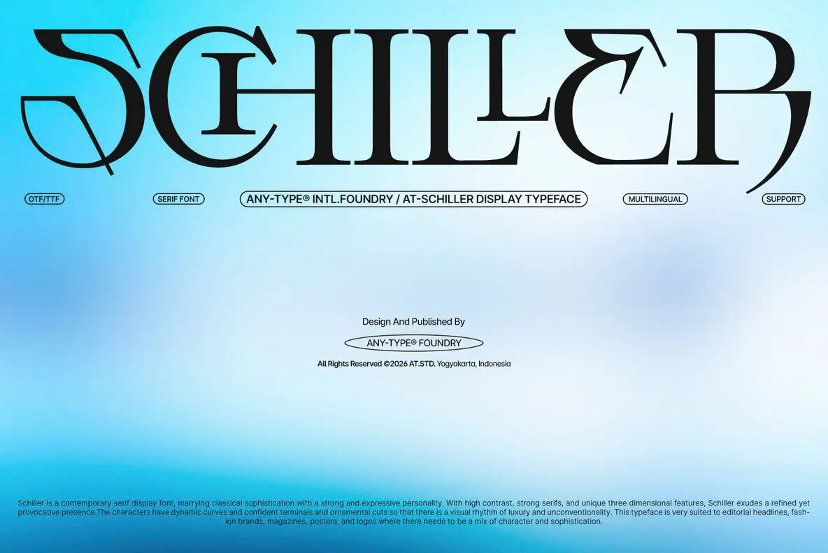 Schiller Font - YouWorkForThem