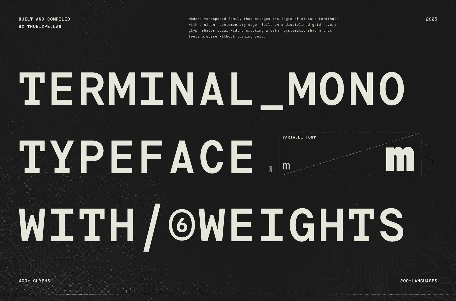 TRT Terminal Mono Font - YouWorkForThem
