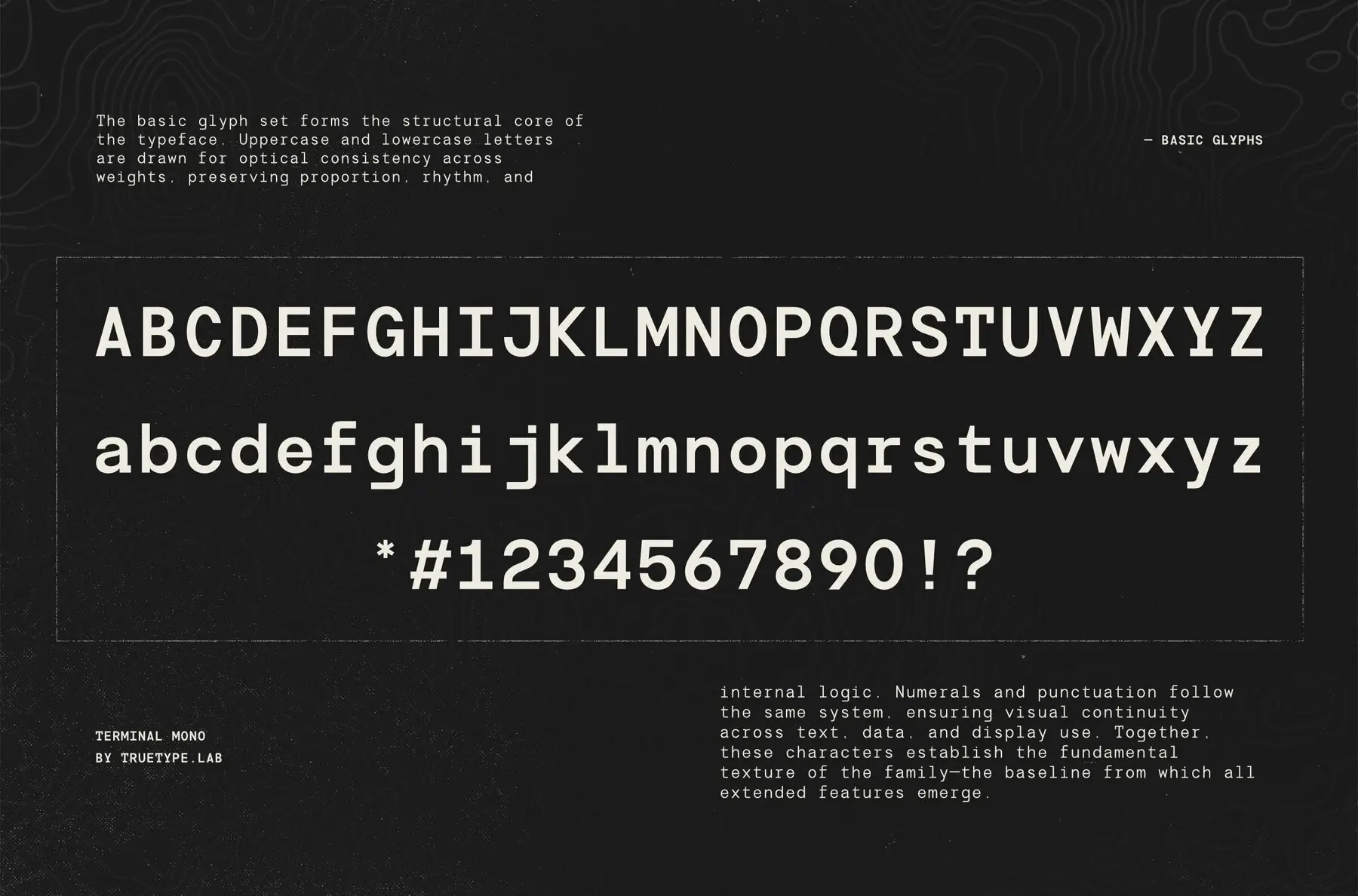 TRT Terminal Mono Font - YouWorkForThem
