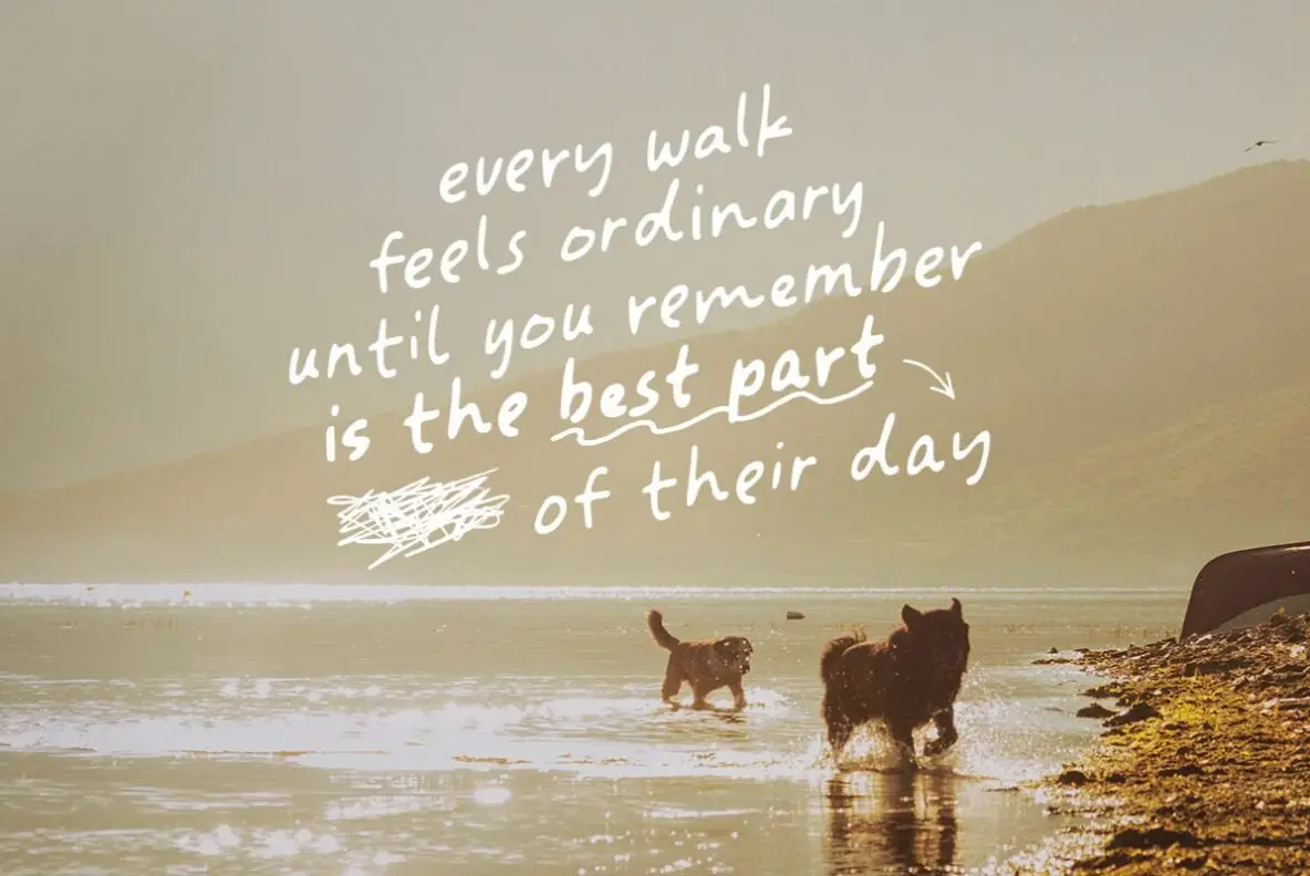 Journal Book Font - FontPath