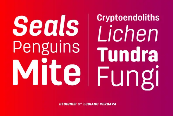 Antartida Rounded Font - YouWorkForThem