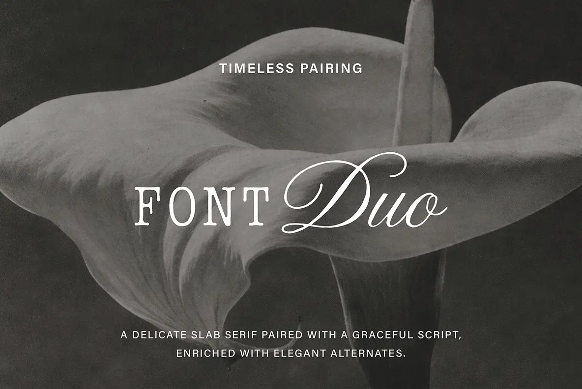 Details Font - YouWorkForThem