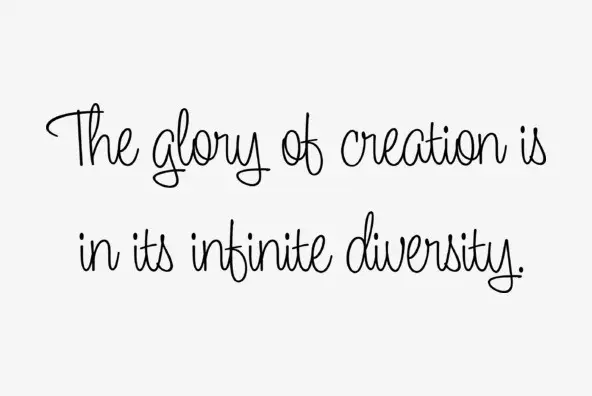 Sadey Ann Font - YouWorkForThem