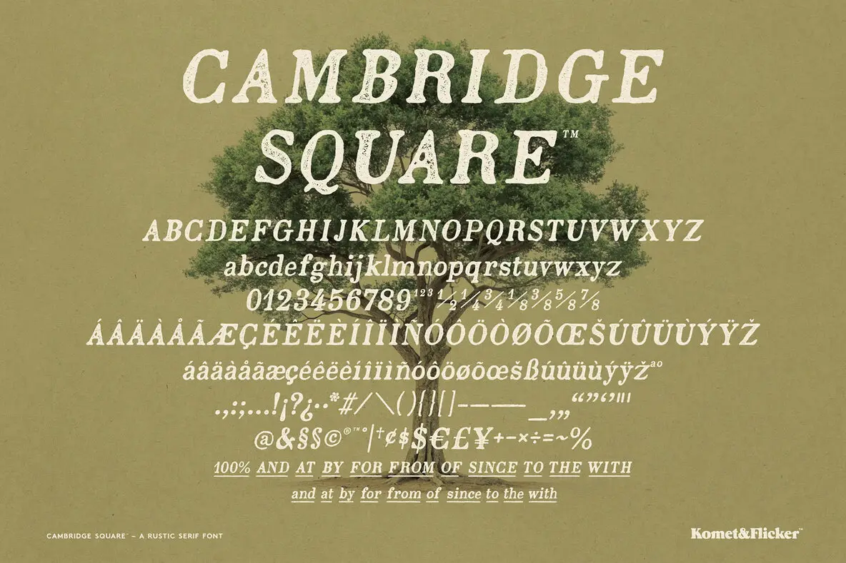 Cambridge Square Font - FontPath