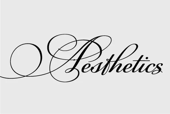 PF Champion Script Pro Font - FontPath