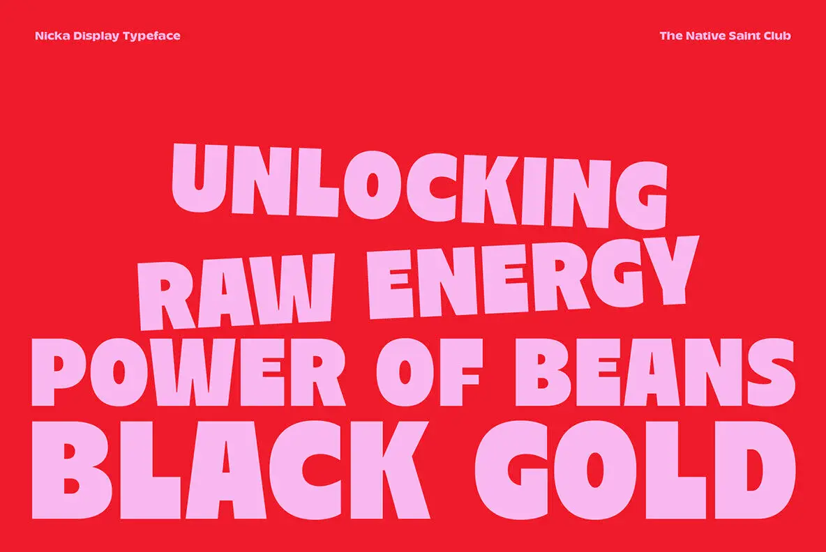 Nicka Font - FontPath