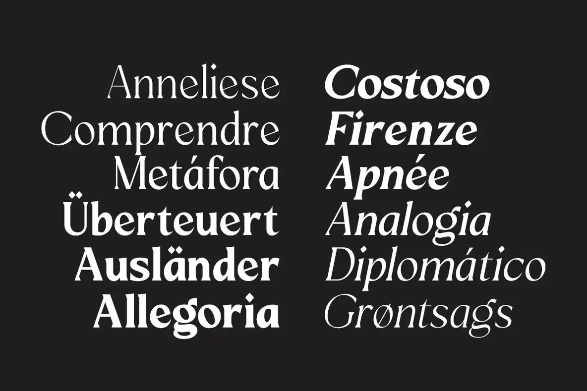 Mizhon Serif Font - FontPath