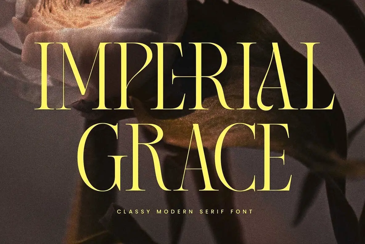 Imperial Grace Font - YouWorkForThem