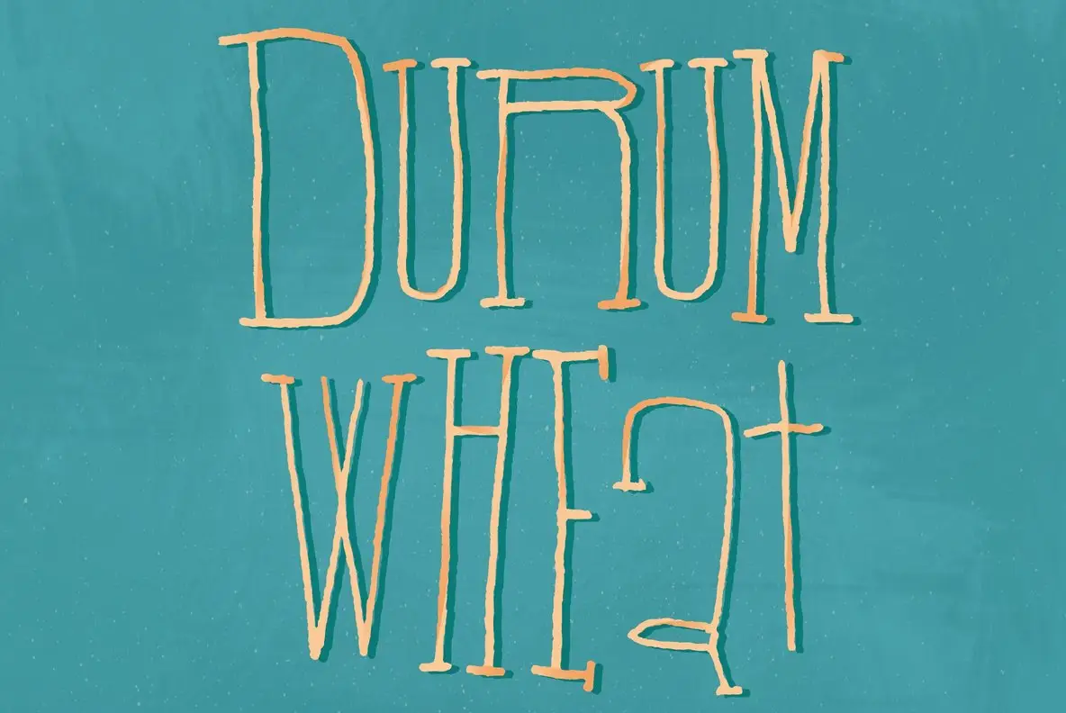 Spaghetti Western Font - FontPath