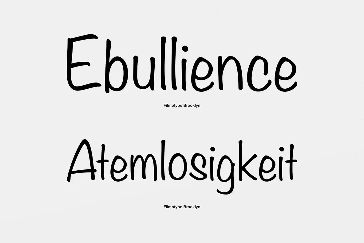 Filmotype Brooklyn Font - YouWorkForThem