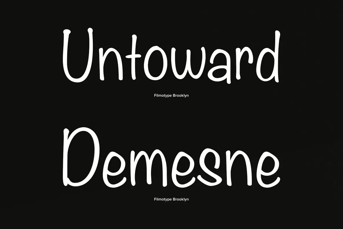 Filmotype Brooklyn Font - YouWorkForThem
