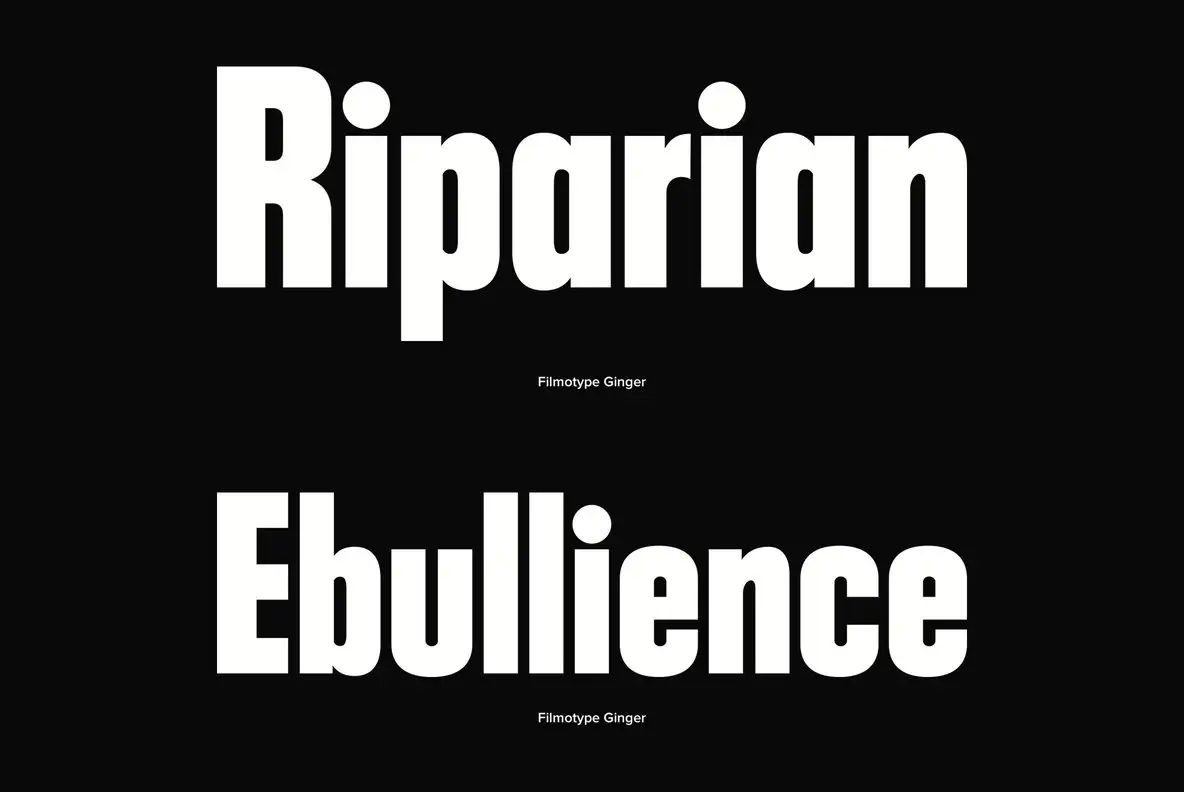 Filmotype Ginger Font - FontPath