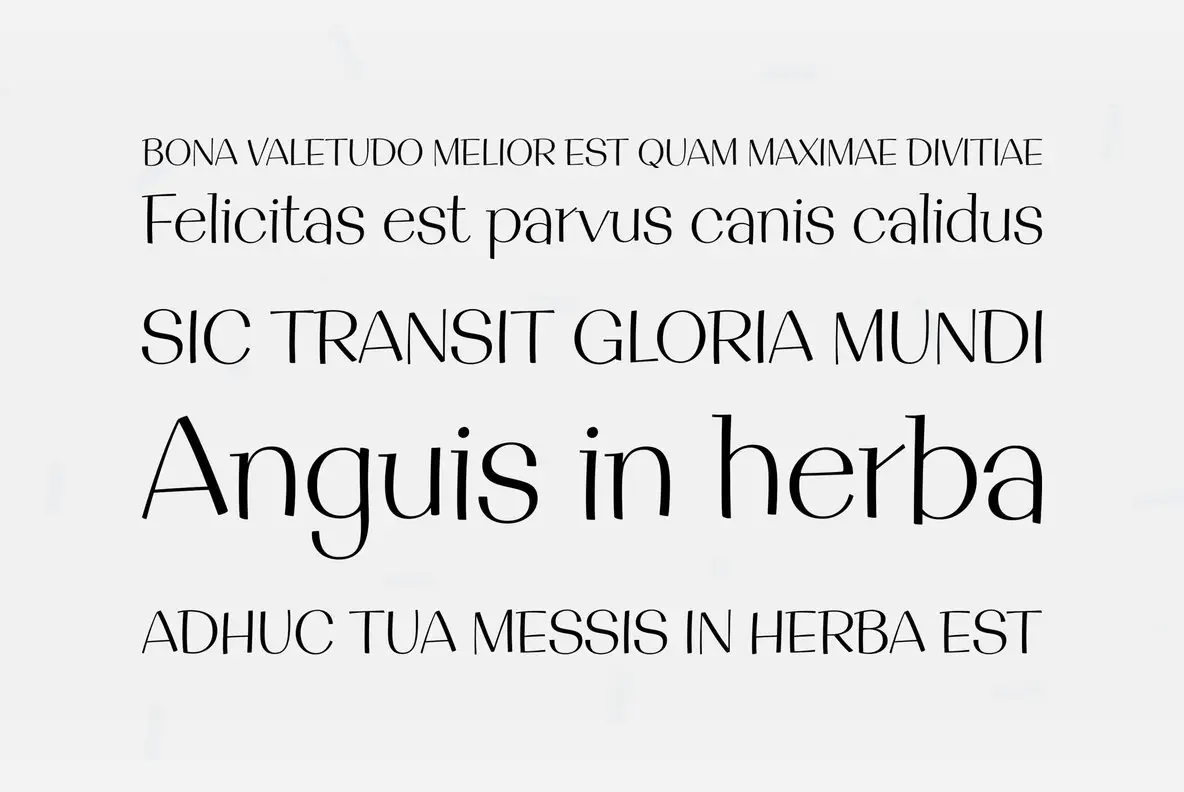 Filmotype MacBeth Font - FontPath