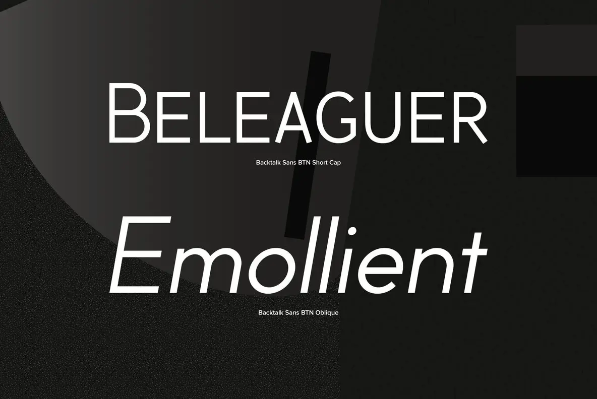 Backtalk Sans Font - YouWorkForThem