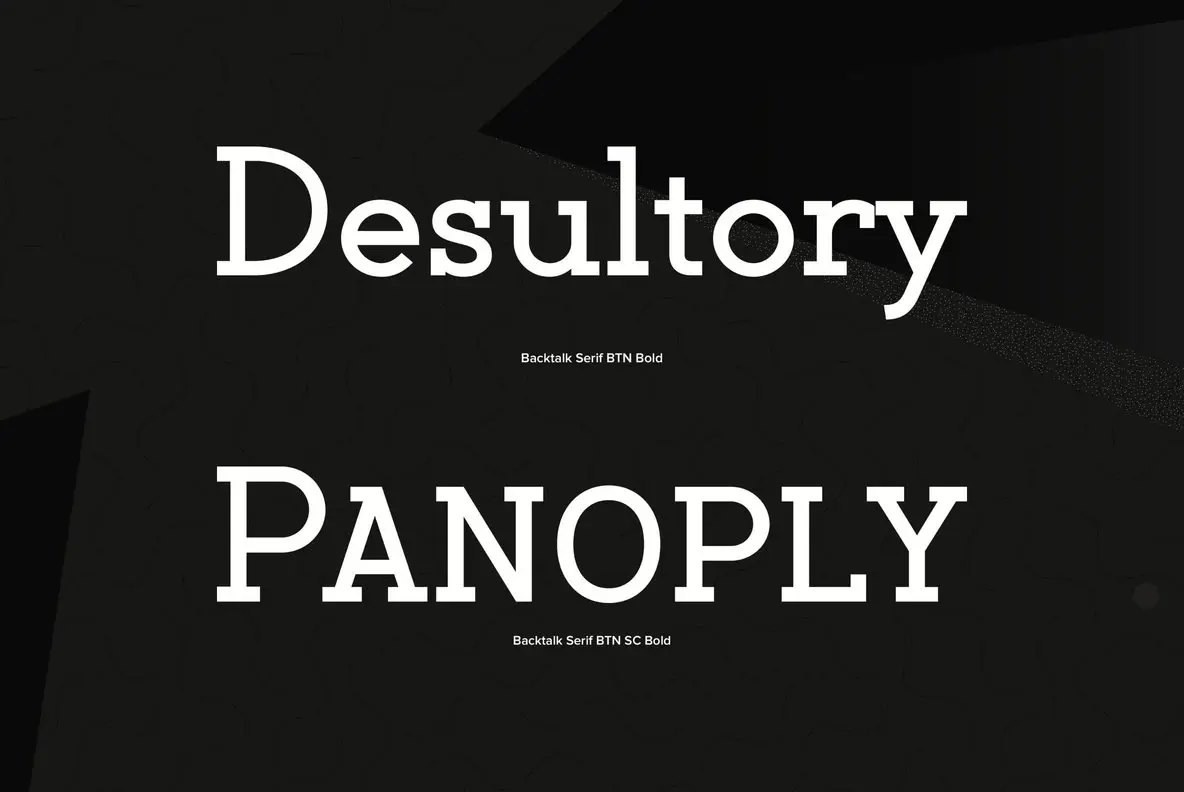 Backtalk Serif Font - YouWorkForThem