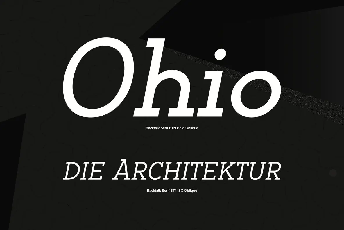 Backtalk Serif Font - YouWorkForThem