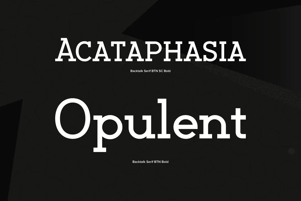 Backtalk Serif Font - YouWorkForThem