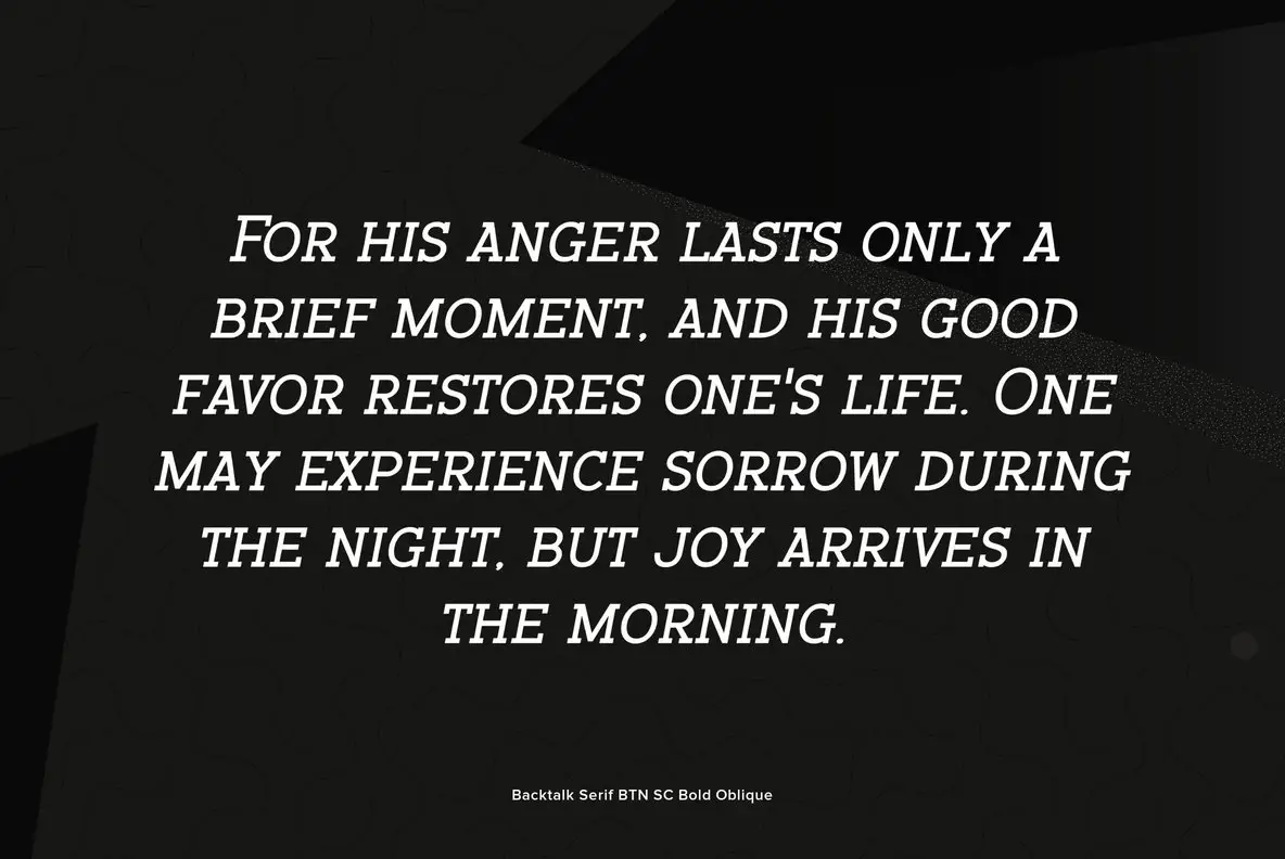 Backtalk Serif Font - YouWorkForThem