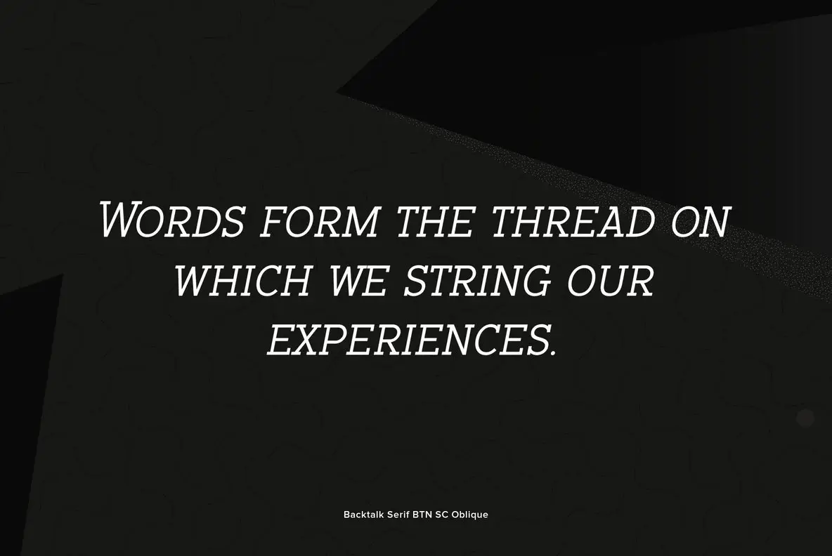 Backtalk Serif Font - YouWorkForThem